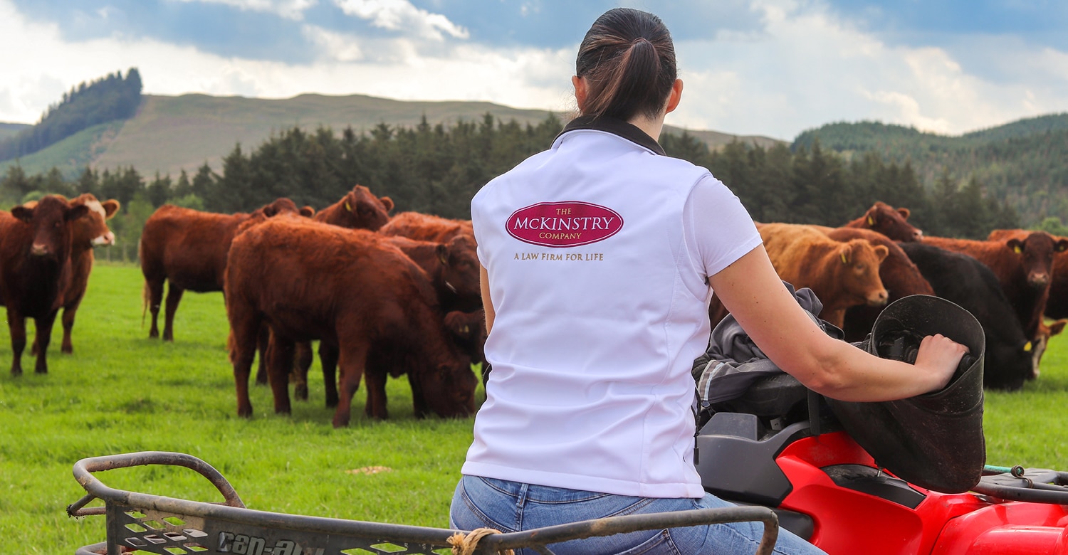 The McKinstry Company | Projects | Adworks Agency Scotland The McKinstry Company | Projects | Adworks Agency Scotland